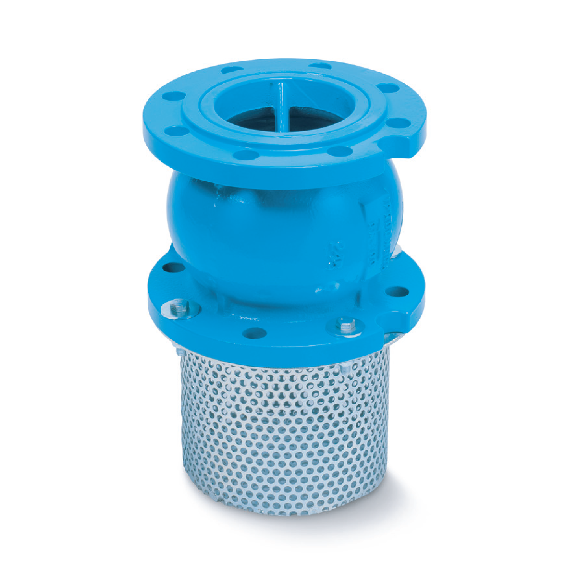 Suction Strainer - FCV Model